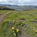 Rowena Plateau Trail, Oregon - 747 Reviews, Map | AllTrails