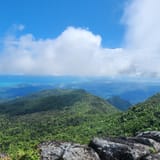 Mount Britton Tower Trail, East Region, Puerto Rico - 1,869 Reviews ...