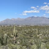 Greasewood Park, Arizona - 209 Reviews, Map | AllTrails
