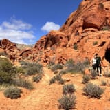 Guardian Angel Pass, Nevada - 1,854 Reviews, Map | AllTrails