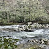 Laurel River Trail, North Carolina - 1,554 Reviews, Map | AllTrails