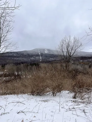 Best Easy Trails in Mount Greylock State Reservation | AllTrails