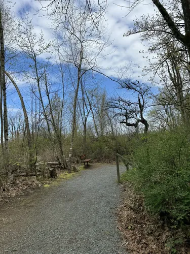 Best Hikes and Trails in Matsqui Triail Regional Park | AllTrails