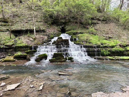 Best Hikes and Trails in Burgin | AllTrails