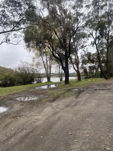 Best Forest Trails in Moe | AllTrails