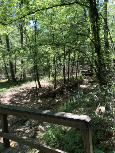 Best Forest Trails in Tatum | AllTrails