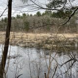Breakheart Reservation Loop, Massachusetts - 858 Reviews, Map | AllTrails