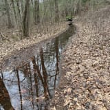 Breakheart Reservation Loop, Massachusetts - 854 Reviews, Map | AllTrails