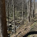 Daniel Ridge Loop, North Carolina - 1,905 Reviews, Map | AllTrails