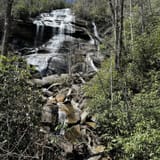 Daniel Ridge Loop, North Carolina - 1,905 Reviews, Map | AllTrails