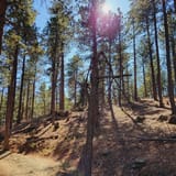 Coon Hollow Loop, South Dakota - 1,116 Reviews, Map | AllTrails