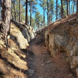 Coon Hollow Loop, South Dakota - 1,116 Reviews, Map | AllTrails