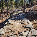 Coon Hollow Loop, South Dakota - 1,116 Reviews, Map | AllTrails