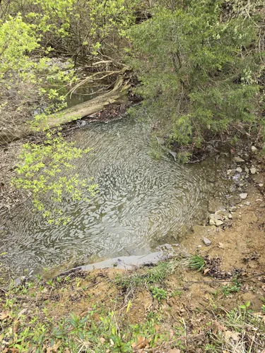 Best Hikes and Trails in Forest Run Wildlife Preserve Metropark | AllTrails