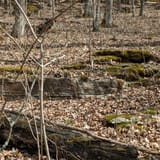 Patton Cave via Grubb Ridge and Hayes Trail, Indiana - 695 Reviews, Map ...