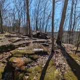 Patton Cave via Grubb Ridge and Hayes Trail, Indiana - 695 Reviews, Map ...