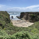 Old Cove Landing Trail, California - 3,579 Reviews, Map | AllTrails