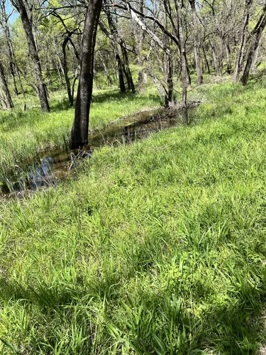 Best Lake Trails in Hagerman National Wildlife Refuge | AllTrails