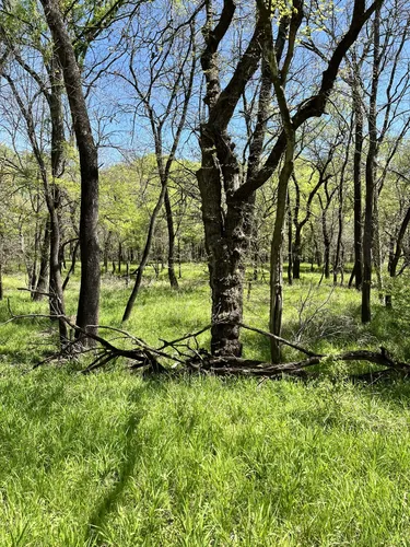 Best Lake Trails in Hagerman National Wildlife Refuge | AllTrails