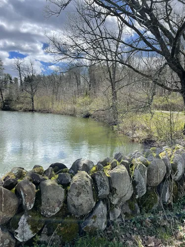 Best Forest Trails in Duke Farms | AllTrails