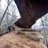 Princess Arch Trail, Kentucky - 1,331 Reviews, Map | AllTrails