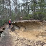 Princess Arch Trail, Kentucky - 1,331 Reviews, Map | AllTrails