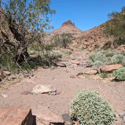 Best Moderate Trails in Wellton | AllTrails