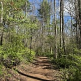 Big Berea Trail, Bull Creek Trail, and White Pine Loop, North Carolina ...