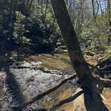 Big Berea Trail, Bull Creek Trail, and White Pine Loop, North Carolina ...