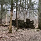 Limberlost Trail, Virginia - 851 Reviews, Map | AllTrails