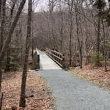 Limberlost Trail, Virginia - 851 Reviews, Map | AllTrails