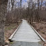Limberlost Trail, Virginia - 851 Reviews, Map | AllTrails