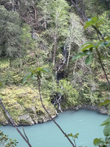 10 Best Hikes and Trails in Six Rivers National Forest | AllTrails