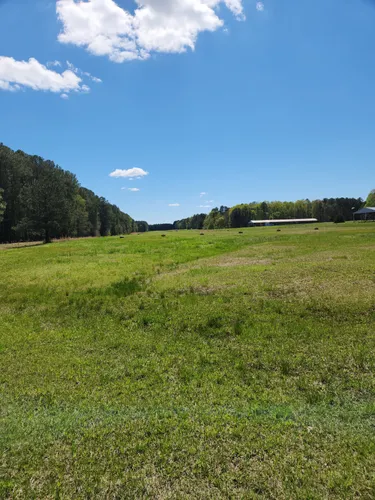 Best Backpacking Trails in Wake Forest | AllTrails