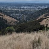 Harry Ell Walkway, Canterbury, New Zealand - 547 Reviews, Map | AllTrails