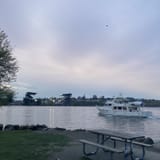 Foster Island Trail, Washington - 719 Reviews, Map | AllTrails