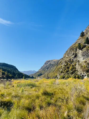 Best Hikes and Trails in Matakauri Park | AllTrails