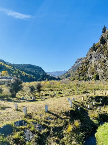 Best Hikes and Trails in Matakauri Park | AllTrails