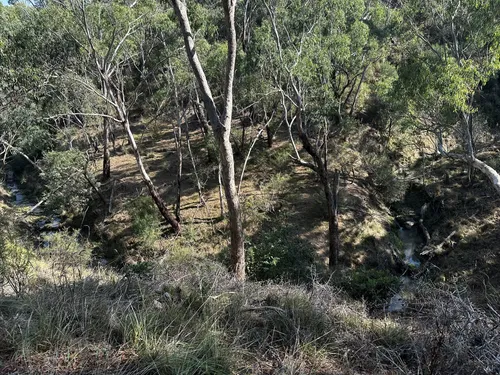 Best Hikes and Trails in Banyule Flats Reserve | AllTrails