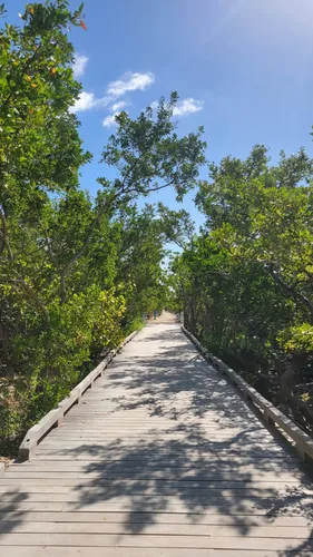 Best Walking Trails in Biscayne National Park | AllTrails