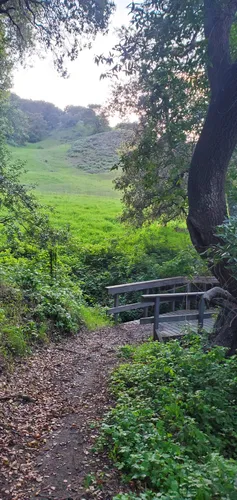 Best Hikes and Trails in Johnson Ranch Open Space | AllTrails
