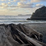 Ruby Beach, Washington - 1,445 Reviews, Map | AllTrails