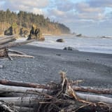 Ruby Beach, Washington - 1,445 Reviews, Map | AllTrails