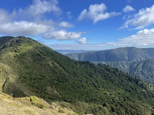 Best Camping Trails in Remutaka Forest Park | AllTrails