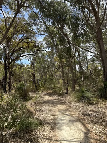 Nationaal Park Neerabup: de beste routes om te wandelen | AllTrails
