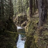 Sol Duc Falls Trail, Washington - 4,551 Reviews, Map | AllTrails