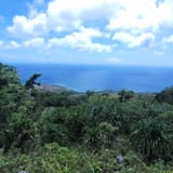 Mount Lam Lam Trail, Guam - 638 Reviews, Map | AllTrails