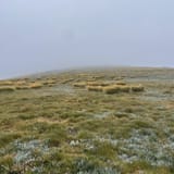 Main Range Walk, New South Wales, Australia - 903 Reviews, Map | AllTrails