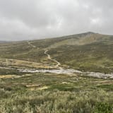 Main Range Walk, New South Wales, Australia - 903 Reviews, Map | AllTrails