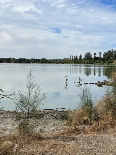 Best Hikes and Trails in Lake Monger Reserve | AllTrails